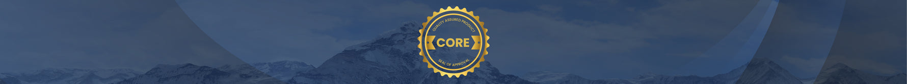 Custom Branded Giant Connect Four – branded.disruptsports.com